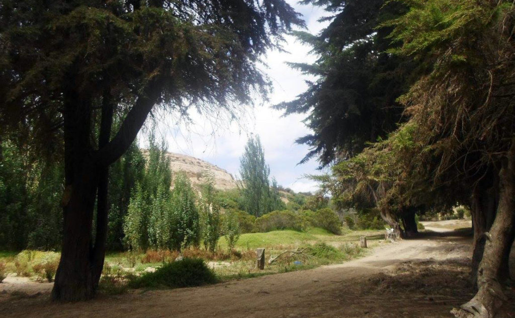 Municipio de Coquimbo reactivará trabajo para recuperar el Parque ...